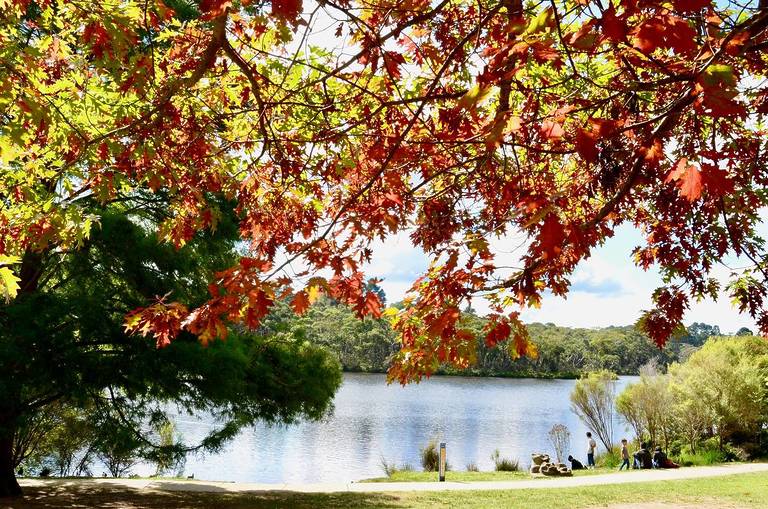 6 Perfect Autumnal Spots In The Blue Mountains - Secret Sydney
