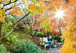 6 Perfect Autumnal Spots In The Blue Mountains - Secret Sydney