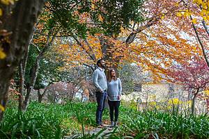 6 Perfect Autumnal Spots In The Blue Mountains - Secret Sydney