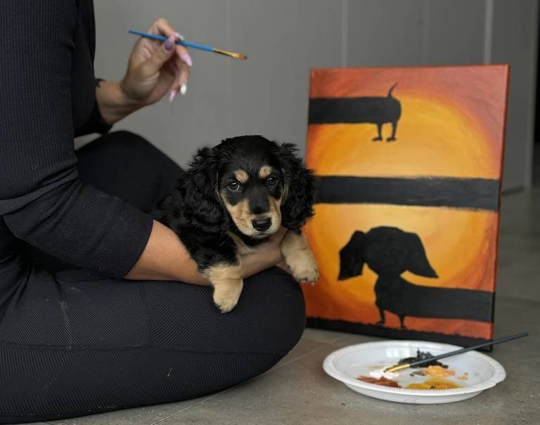 Adorable Painting With Puppies Classes Are Coming To Sydney - Secret Sydney