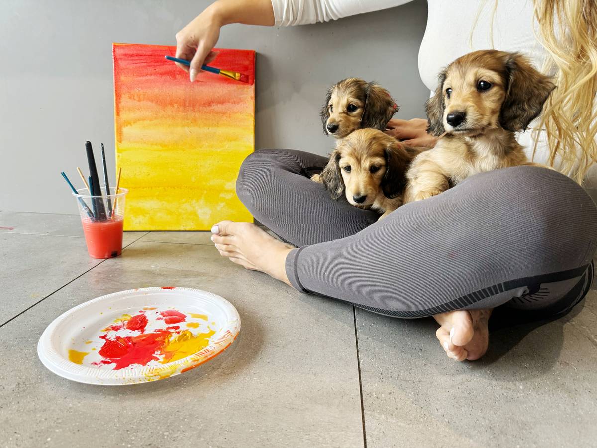 Adorable Painting With Puppies Classes Are Coming To Sydney - Secret Sydney