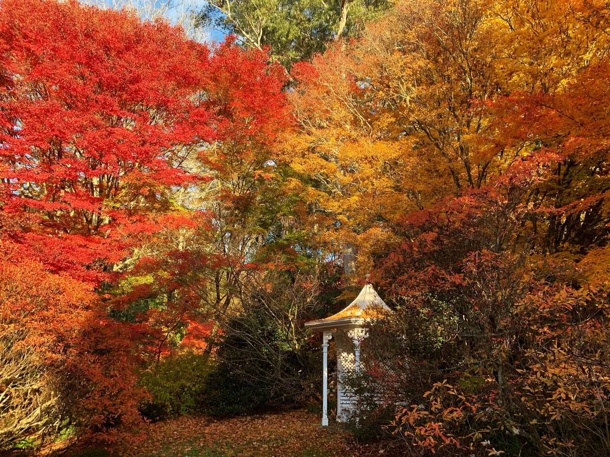 Nooroo Garden Is A Stunning Hidden Gem 2 hours From Sydney