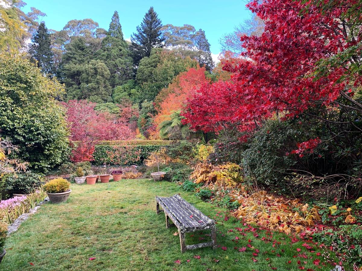 Nooroo Garden Is A Stunning Hidden Gem 2 hours From Sydney