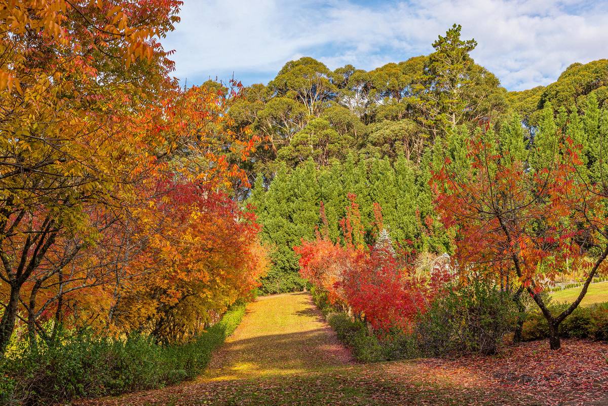 Why Bilpin Should Be Your Day Trip From Sydney This Autumn - Secret Sydney