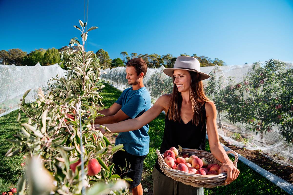 Why Bilpin Should Be Your Day Trip From Sydney This Autumn - Secret Sydney