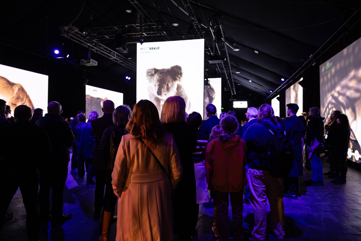 Tickets For Creatures Of Australia Are Now On Sale