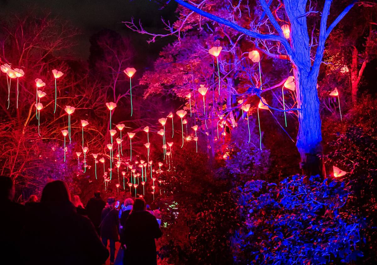 Lightscape Has Made A Dazzling Return For Vivid Sydney 2024