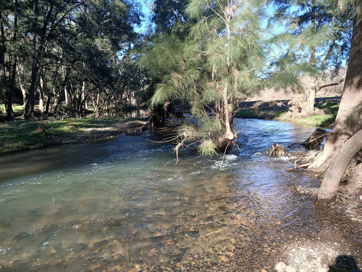 Sofala NSW: Australia's Oldest Surviving Gold-Rush Town