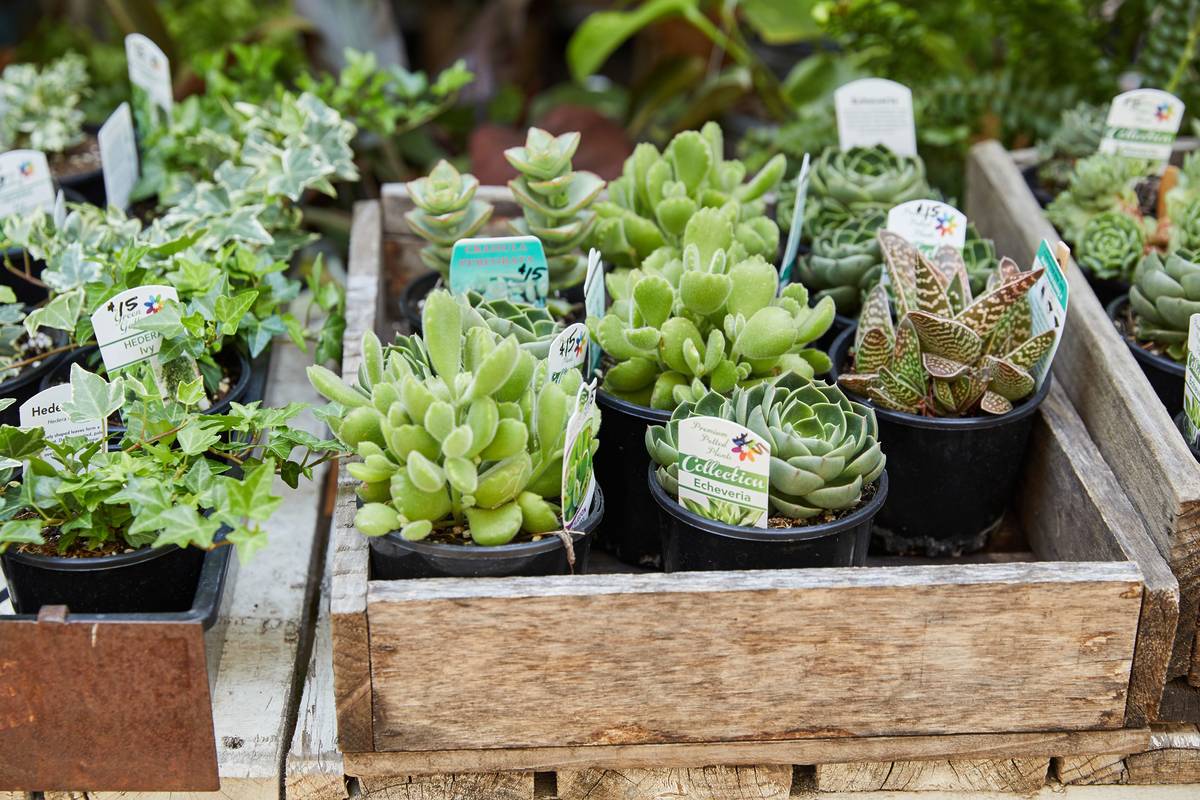 How To Spend A Weekend In Bowral, Just 1.5 Hours From Sydney