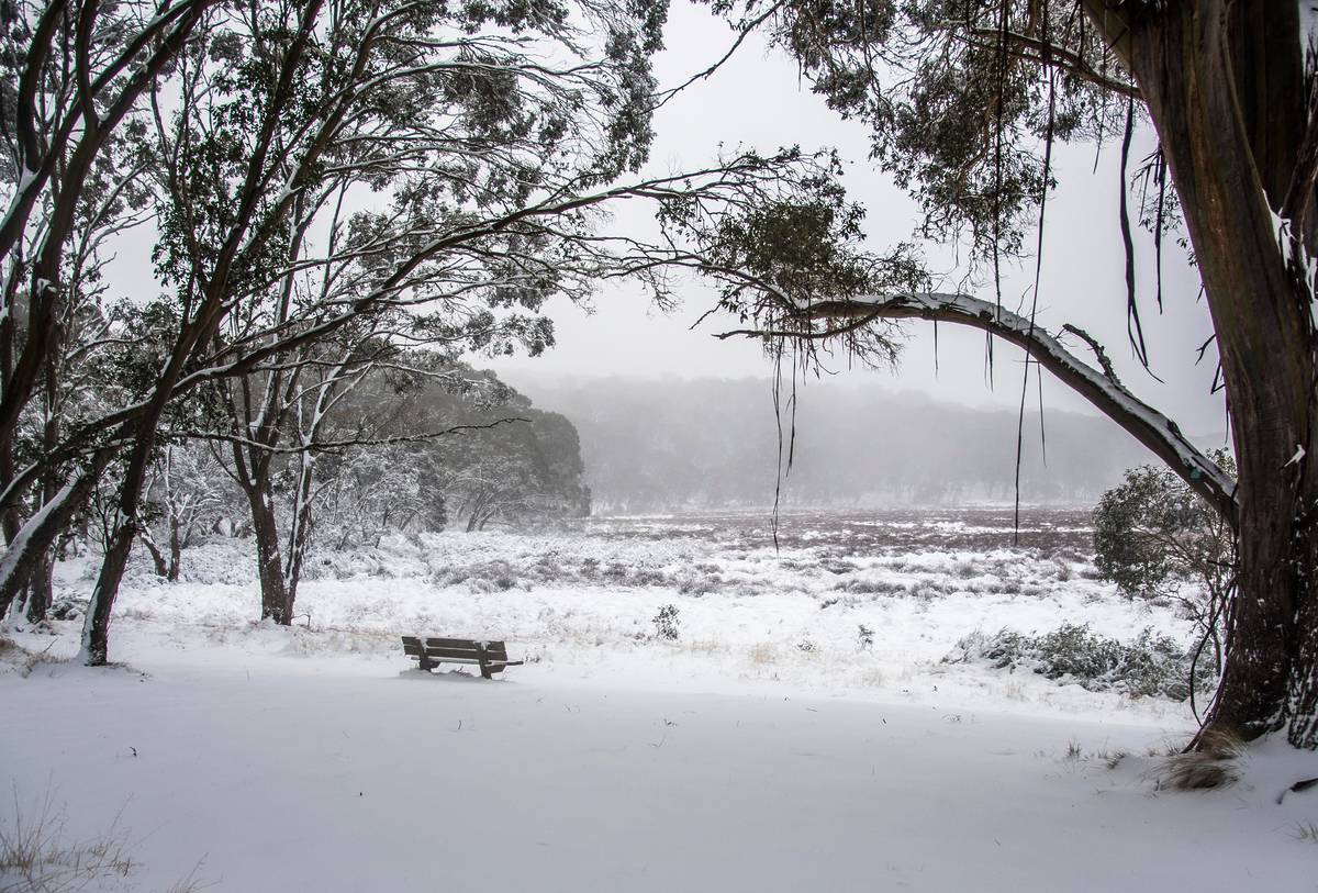 Antarctic Blast Set To Produce Highest Snowfall In Over Two Years In NSW