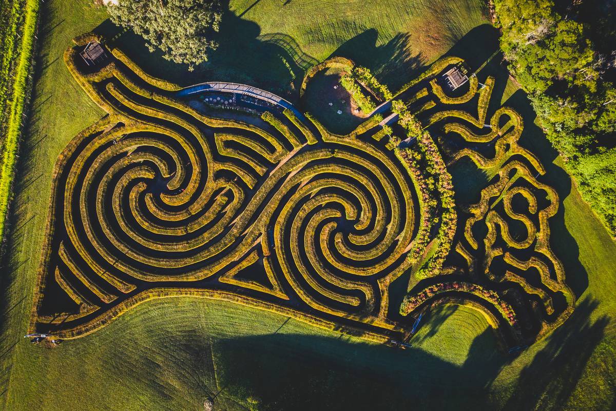 This Picturesque Winery In NSW Is Home To One Of The World's Largest ...
