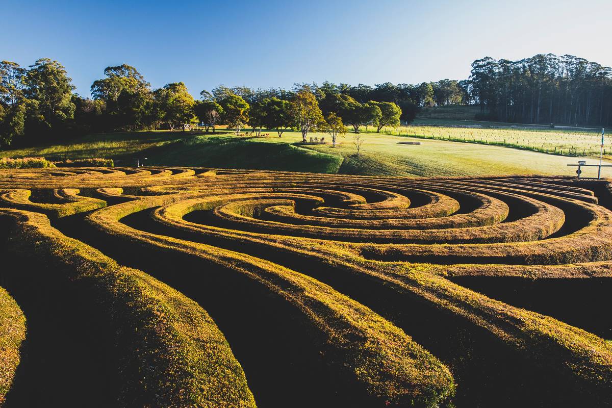 This Picturesque Winery In NSW Is Home To One Of The World's Largest ...
