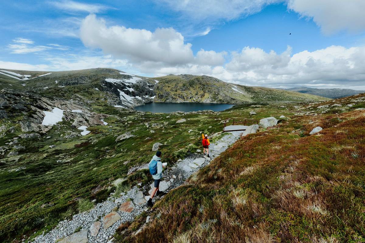 The Stunning Snowies Alpine Walk In NSW Is Now Officially Open