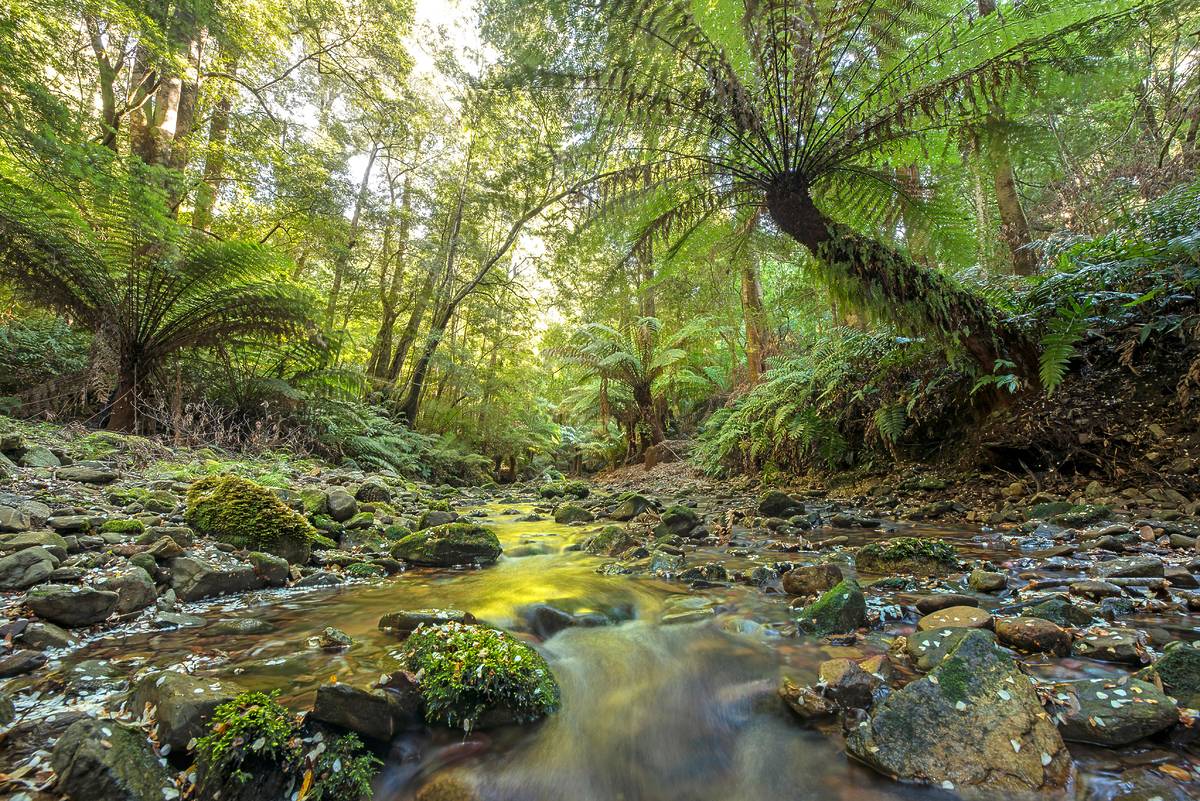 This Charming Town Just 3 Hours From Sydney Has Vibrant Streetscapes, Cosy Bakeries And Gold ...