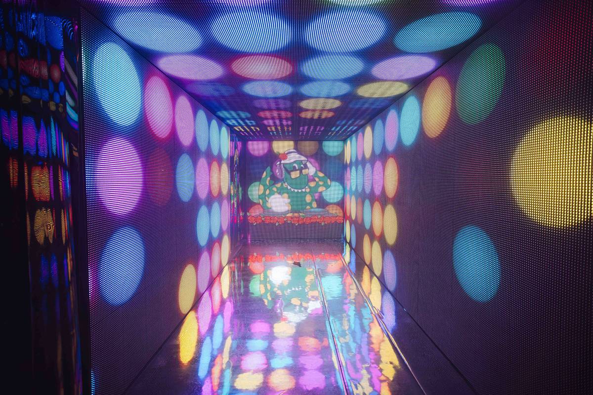 Dive Into The World Of The Wiggles At DJ Dorothy’s Rave Of Innocence ...