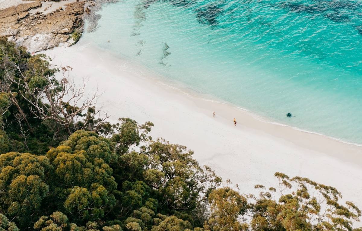 This 2.5-Hour Beach Walk Near Sydney Boasts Coastal Views, Stunning ...