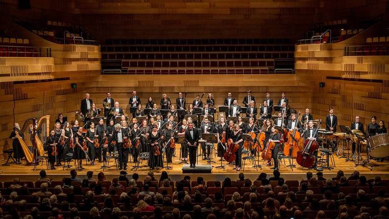 Get Tickets To Willoughby Symphony Orchestra's 2025 Concerts