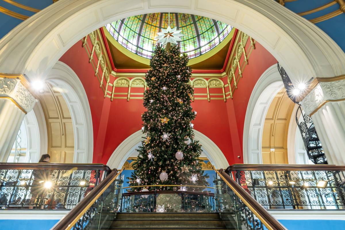 25 Magical Things To Do In Sydney This December 2025 - Secret Sydney