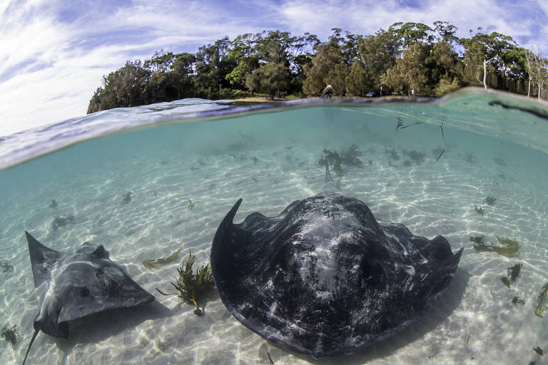 Incredible Places On The NSW South Coast: The Perfect Summer Itinerary