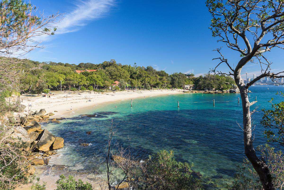 Shark Beach Reopens After 3-Years, Just in Time for Summer