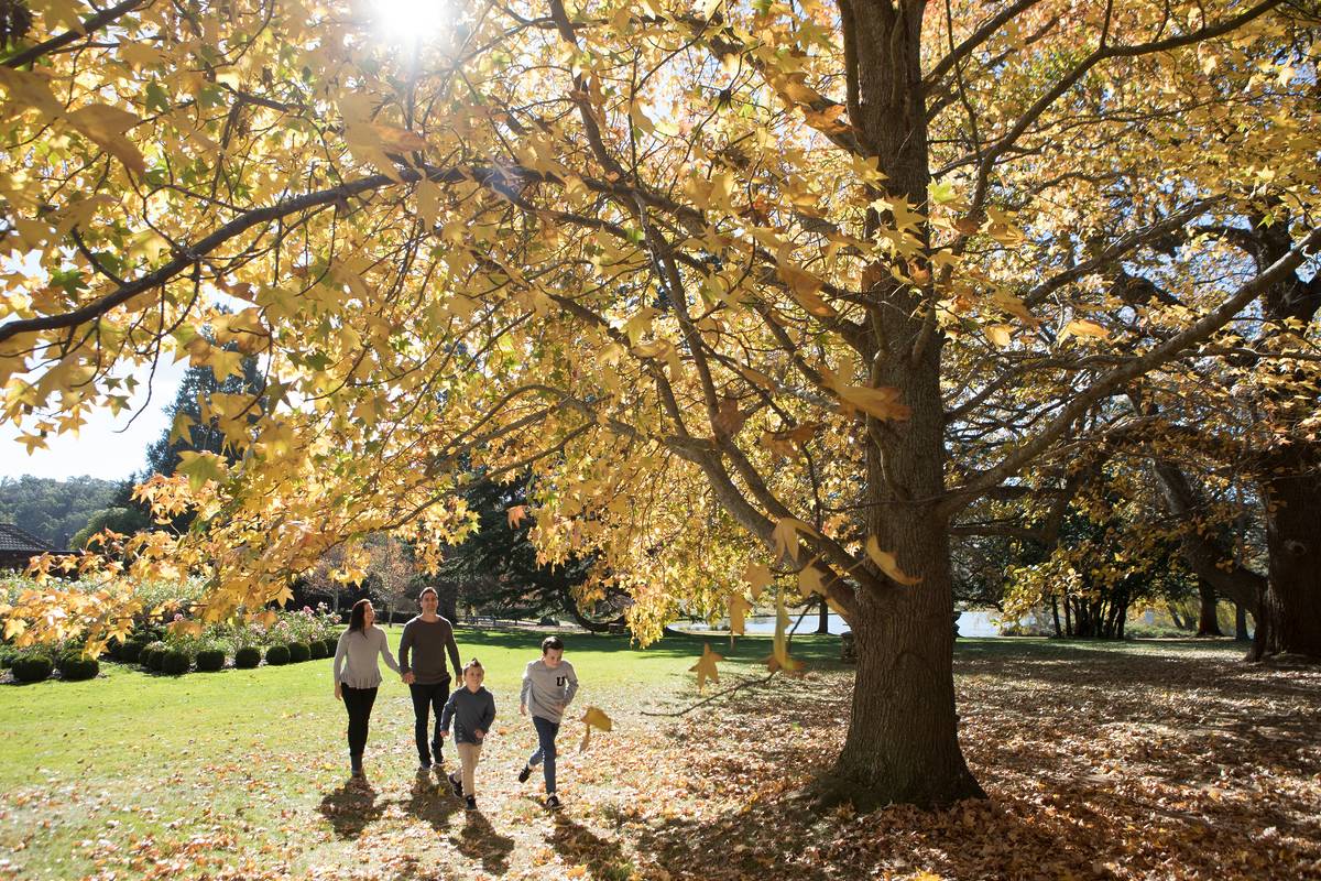 6 Popular Summer Destinations In NSW That Are Actually Better In Autumn