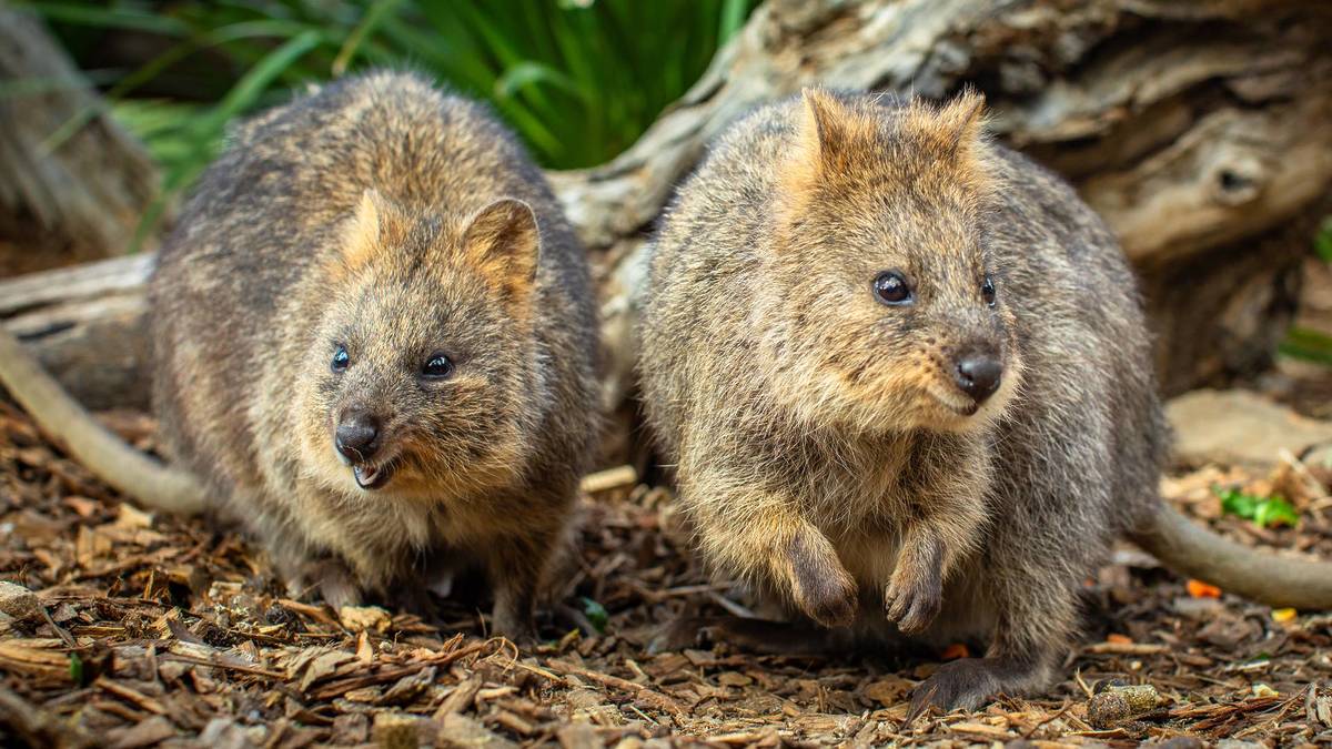 The Best Things To Do In Sydney This Weekend