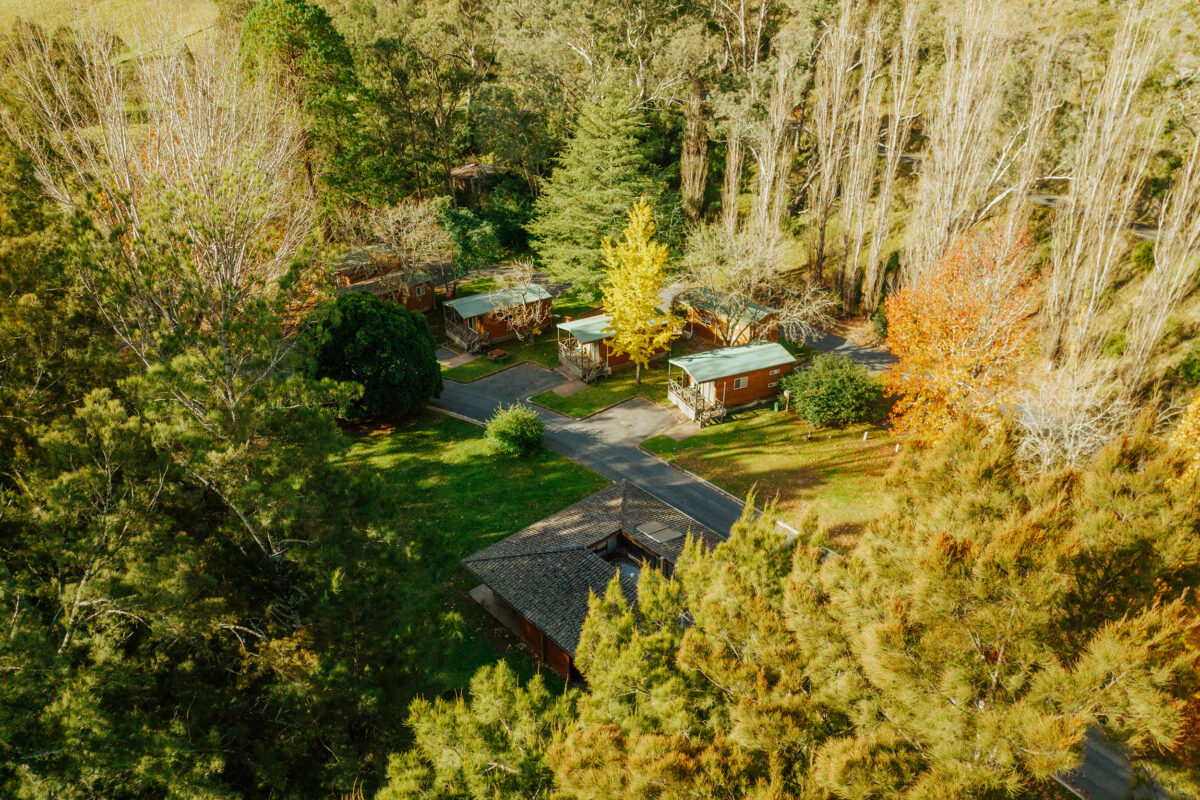 6 National Parks In NSW For Bright Autumn Colours, Scenic Walking ...