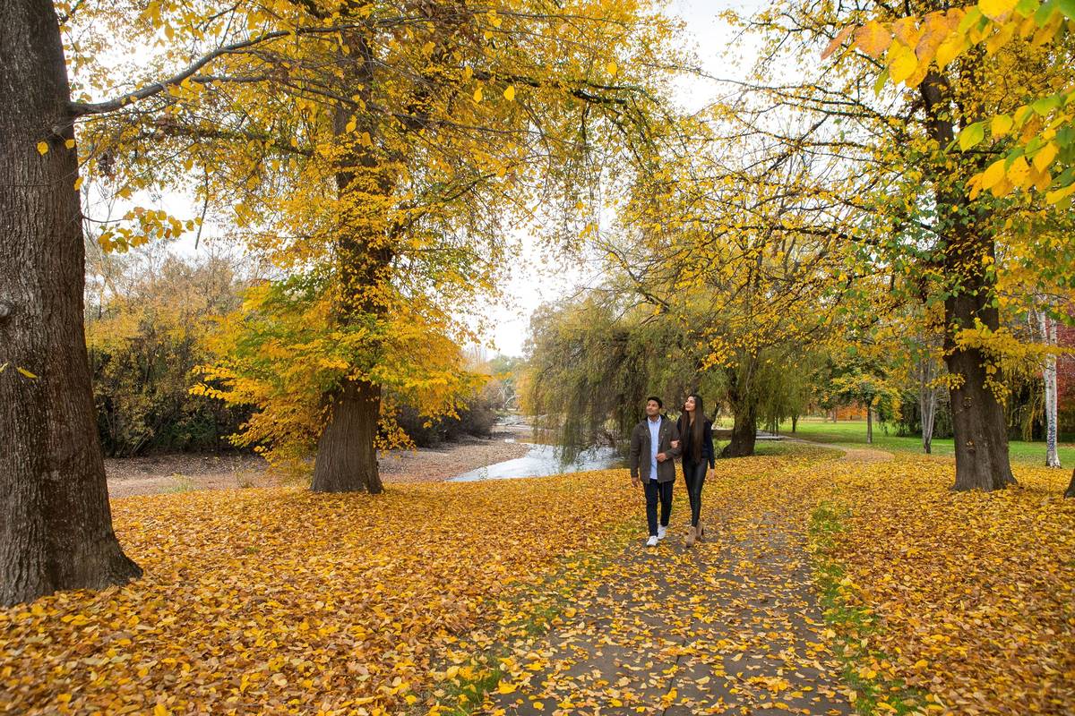 7 Scenic Escapes To Catch The Last Of Autumn In NSW