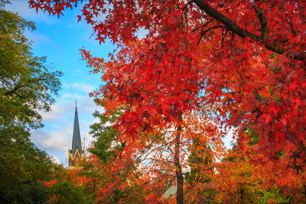 7 Scenic Escapes To Catch The Last Of Autumn In NSW