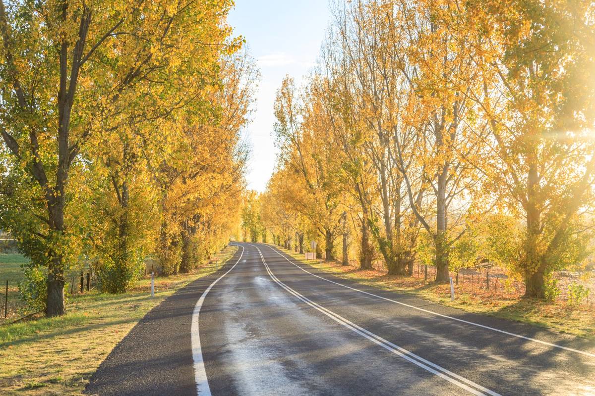 7 Scenic Escapes To Catch The Last Of Autumn In NSW