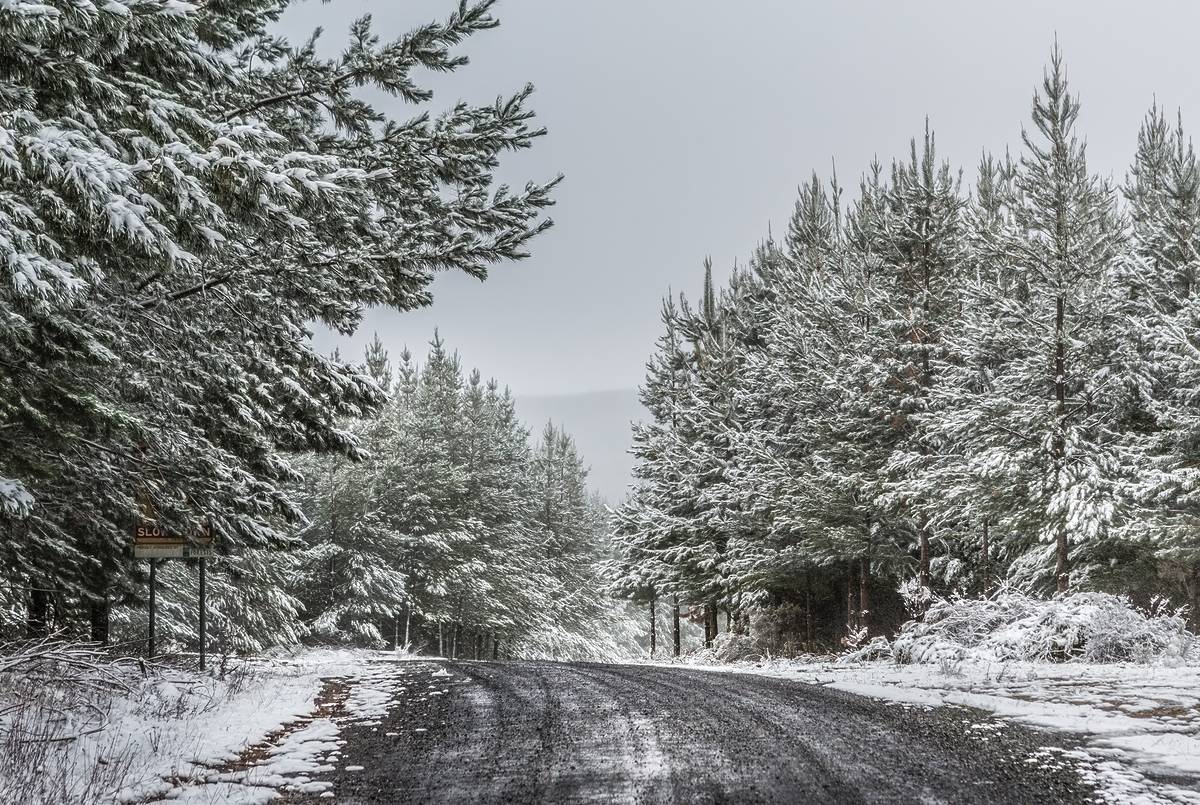 Nackte kunst she has a extremely smooth complexion and had