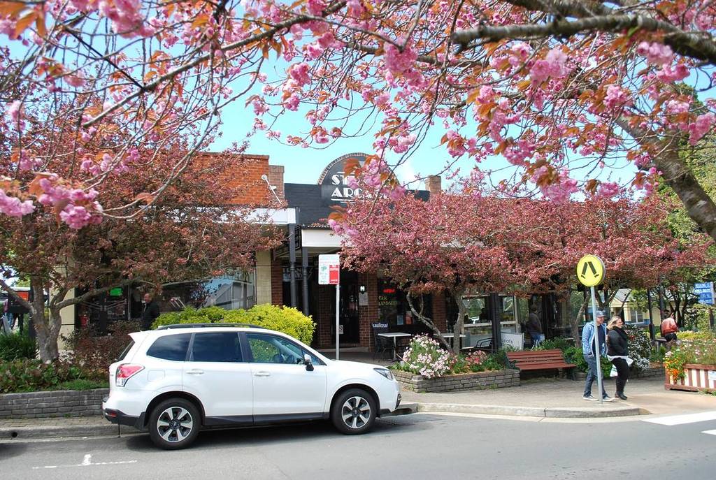 This Small Town Just 1.5 Hours From Sydney Is Perfect In Spring – With ...