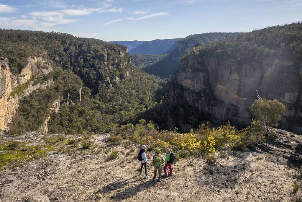 The 6km Broad Swamp Loop Walk Offers Stunning Views And Wildlife