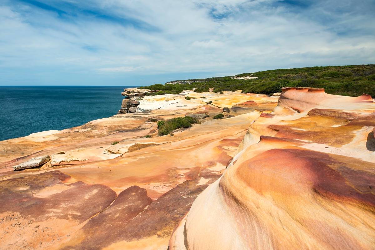 This 8km Coastal Walk Near Sydney Is Stunning In Summer – With ...