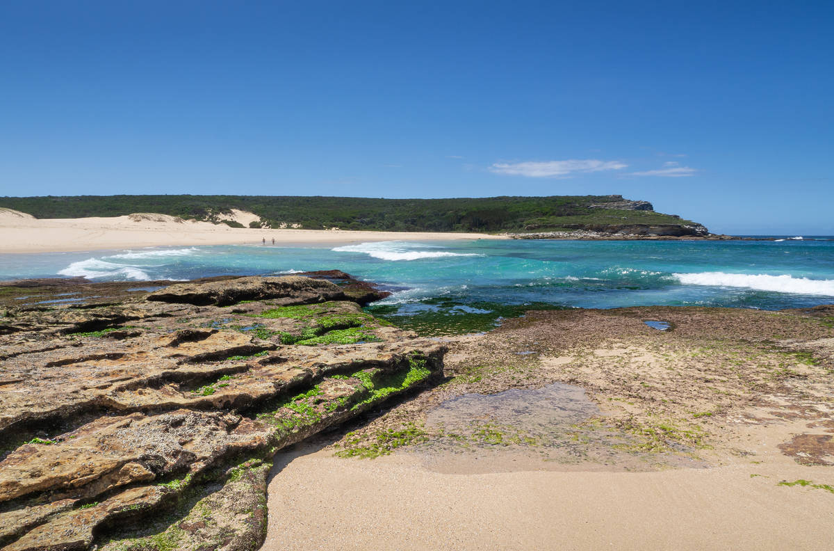 This 8km Coastal Walk Near Sydney Is Stunning In Summer – With ...