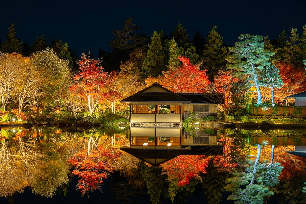 15 Things to Do in Tokyo in November