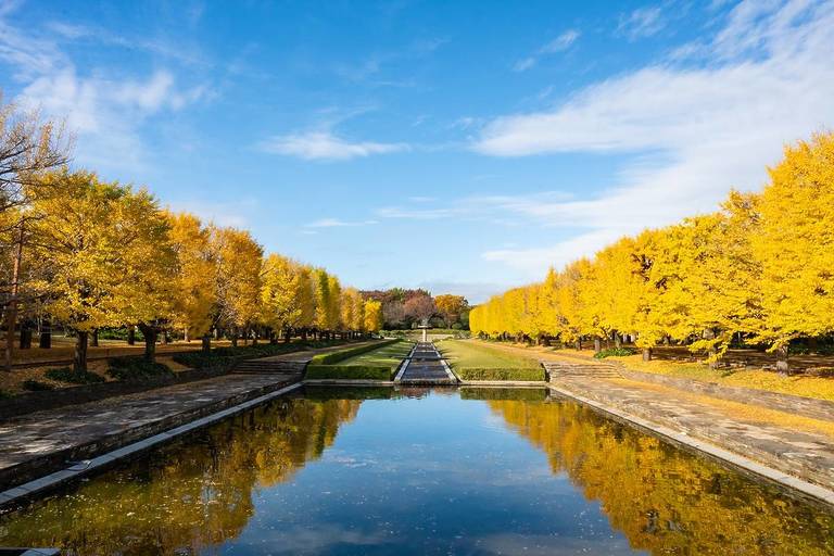 15 Things to Do in Tokyo in November