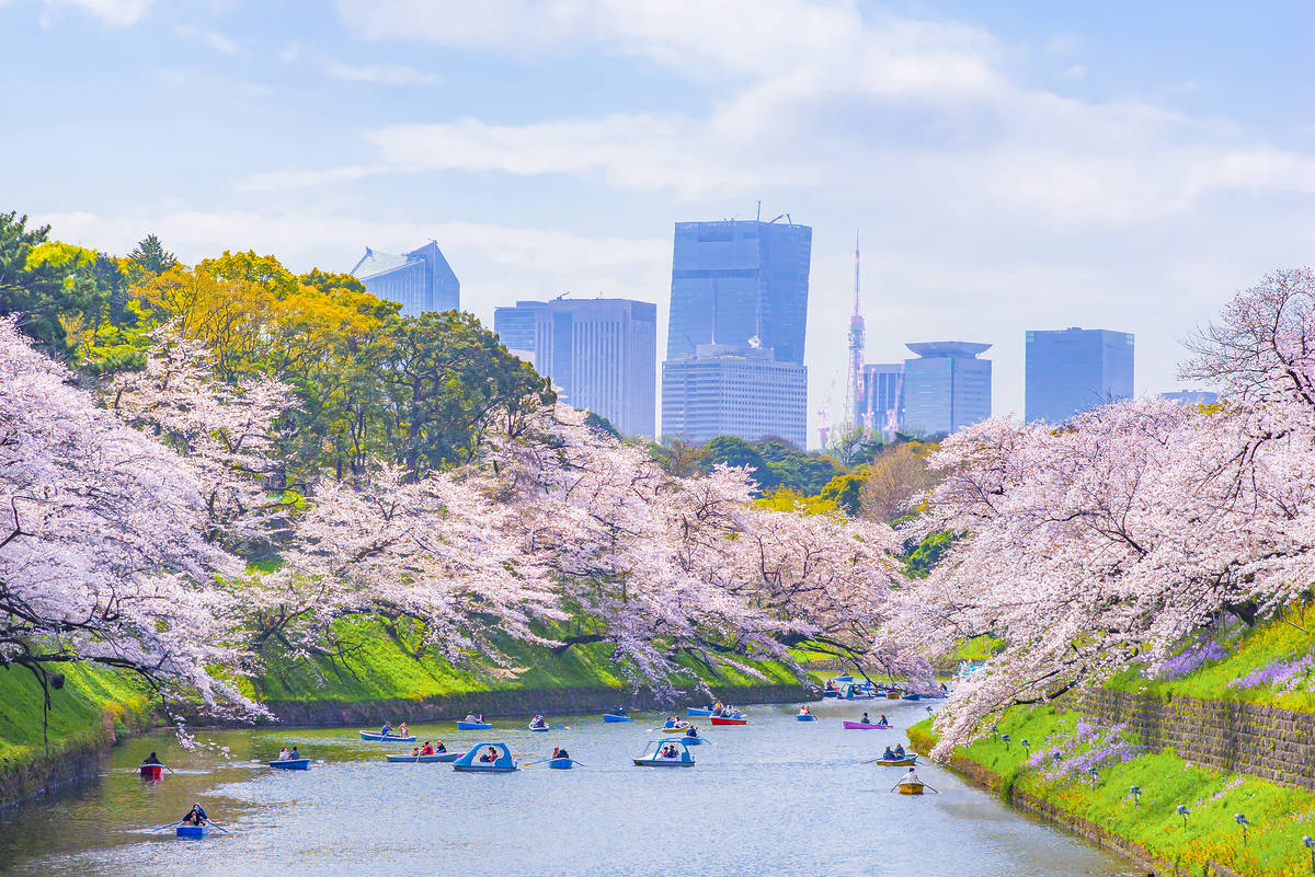 15 Things to Do in Tokyo in March