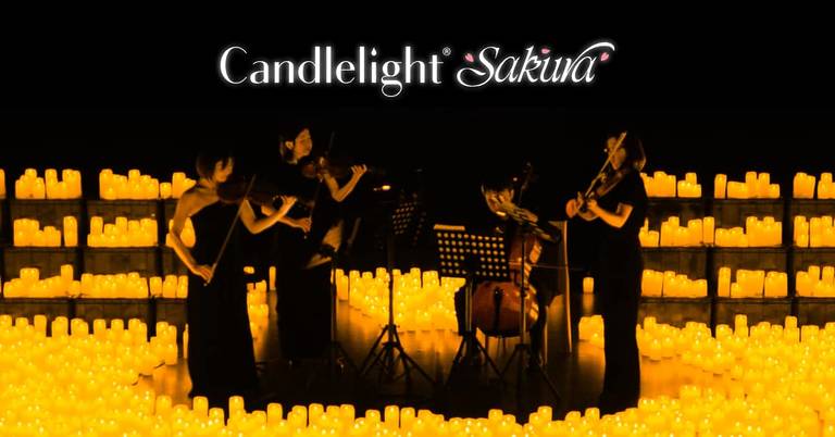 この時期限定の「Candlelight Sakura」コンサートで桜の季節を堪能！
