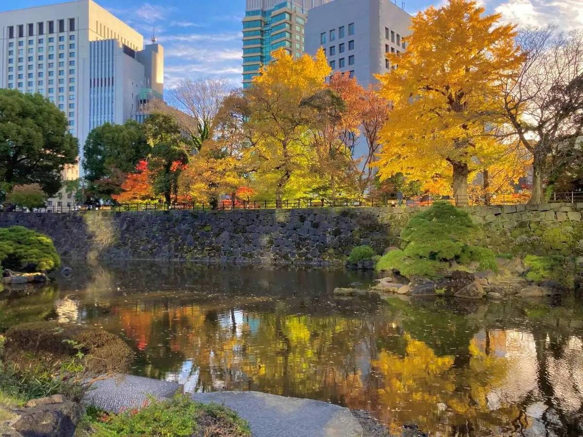 From golden tunnels to limited-time-only light-up spots: 10 great spots ...