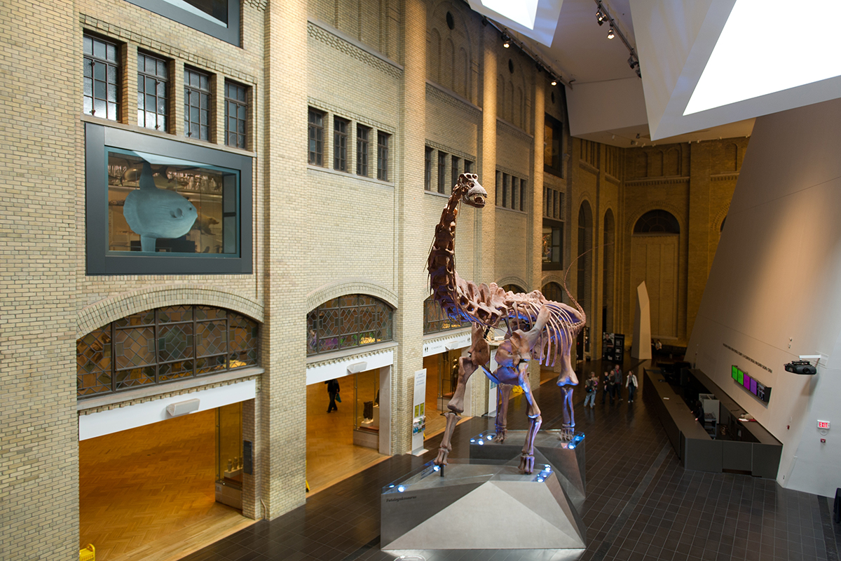 28 Cozy Things To Do This November In Toronto