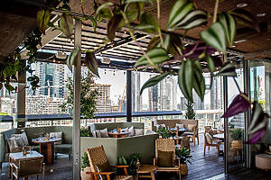 17 Of Toronto's Best Rooftop Bars To Visit This Summer