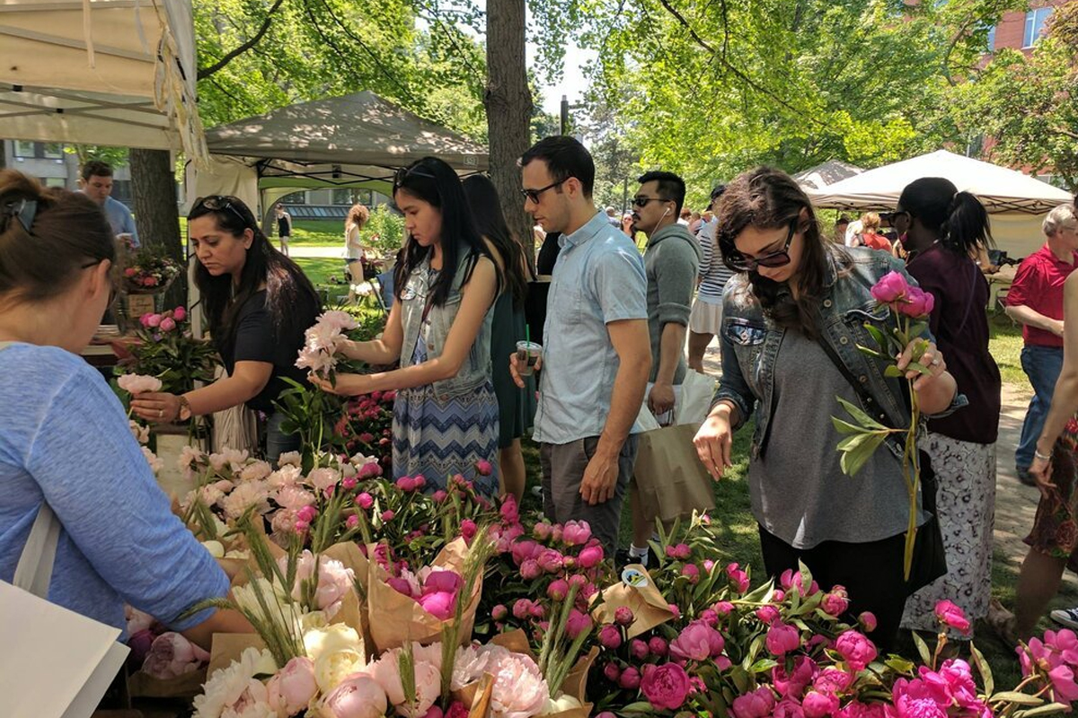 30 Incredible Things To Do In Toronto This June