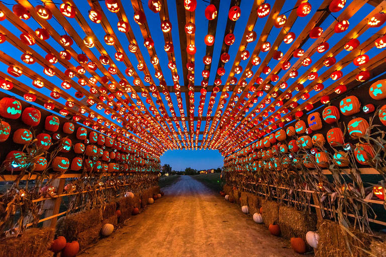 The Best Spooky Events To Celebrate Halloween 2025 In Toronto