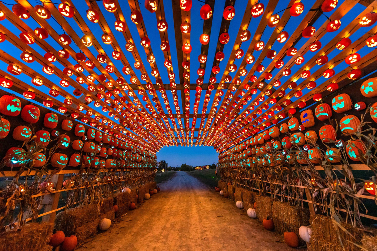 30 Enchanting Things To Do This October In Toronto