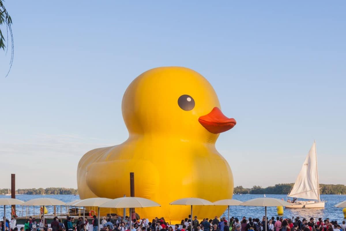The World's Largest Rubber Duck Will Be Floating on Toronto's ...