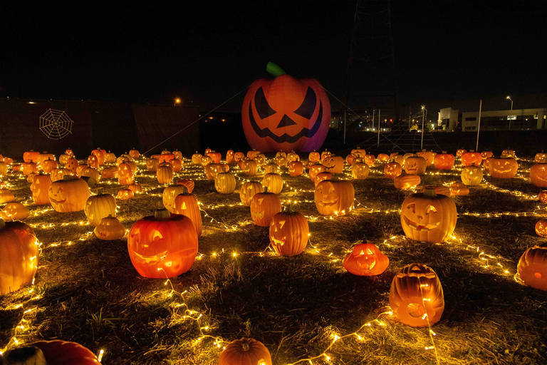 The Best Spooky Events To Celebrate Halloween In Toronto