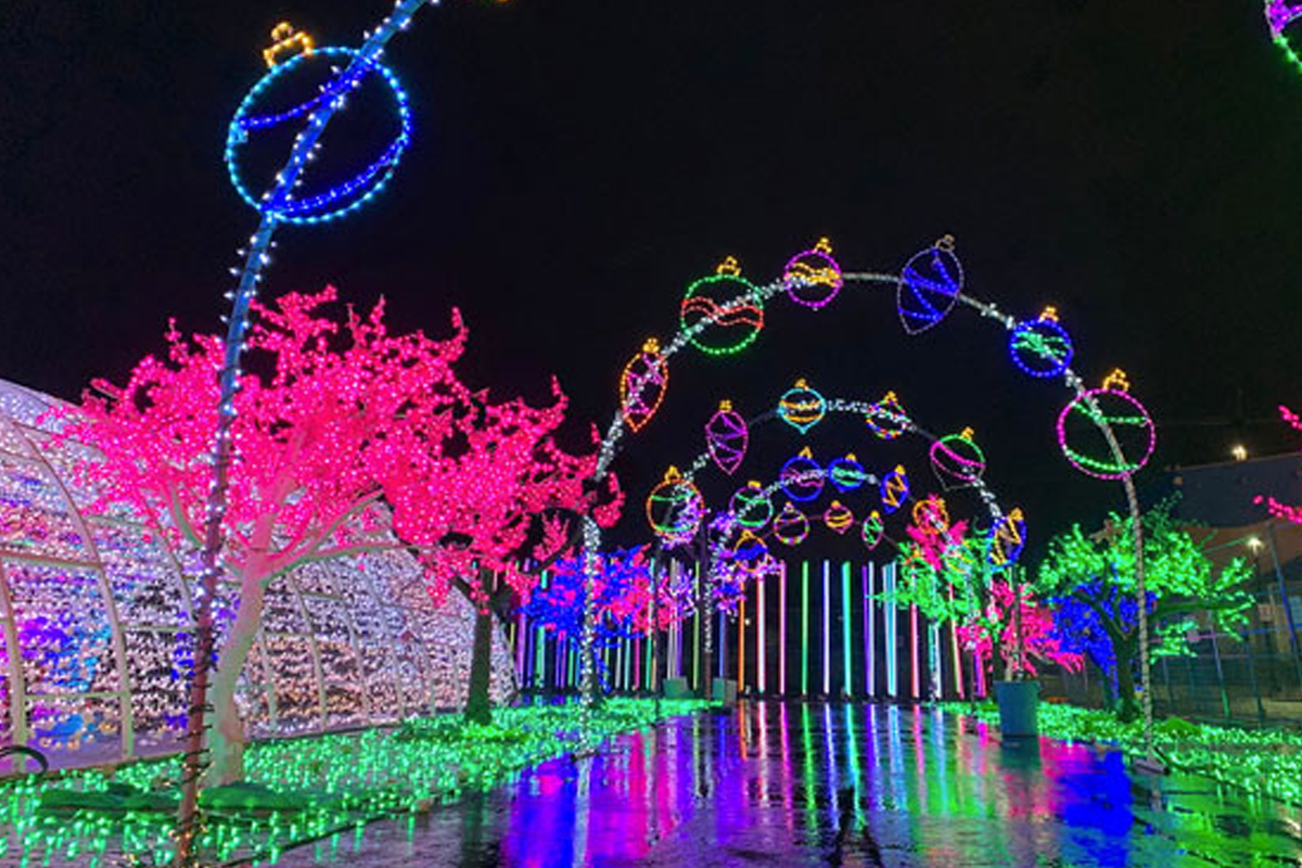 30 Delightful Things To Do This December In Toronto