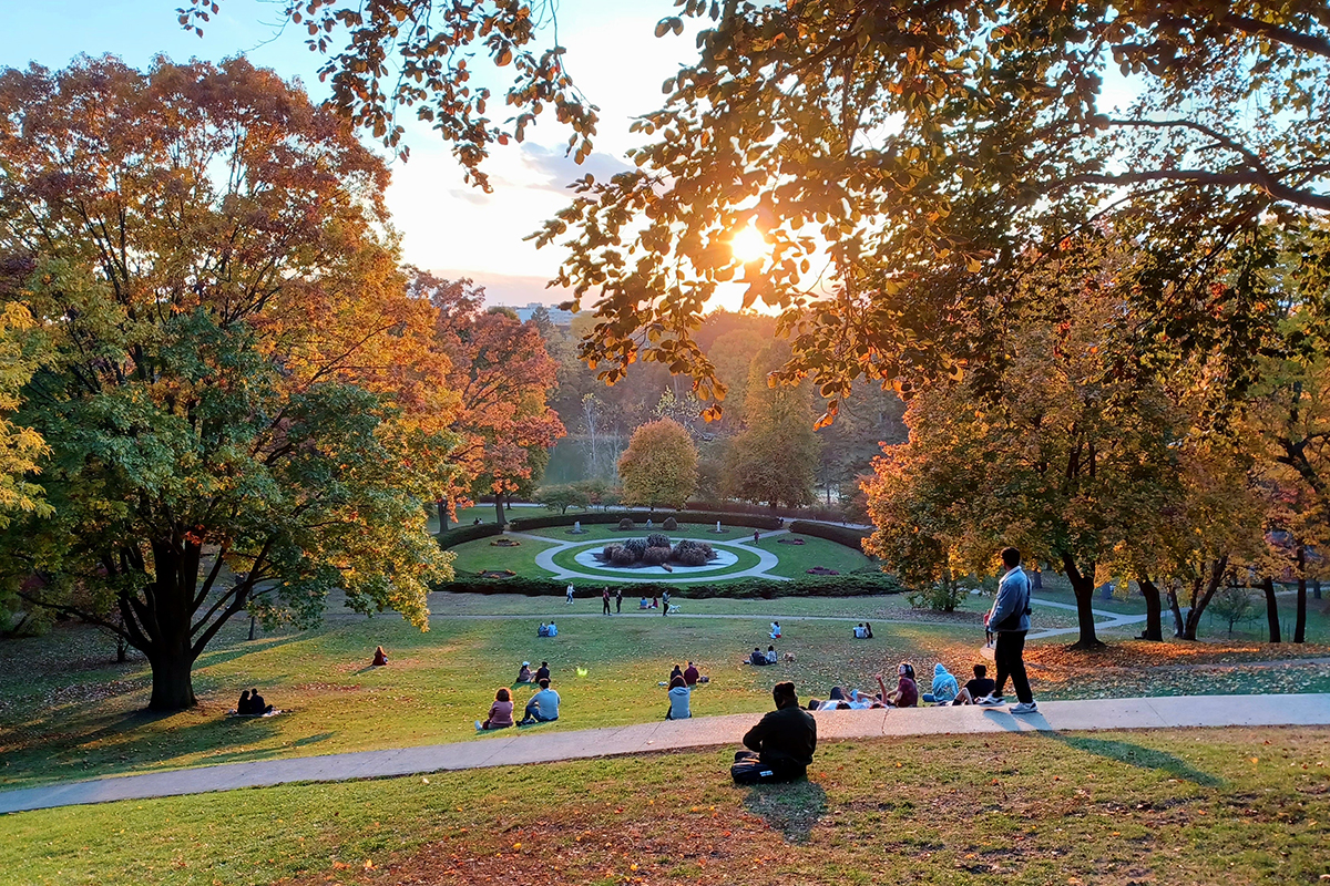 28 Cozy Things To Do This November In Toronto