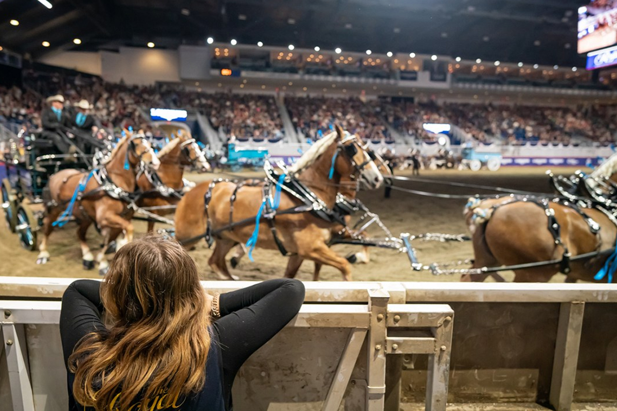 30+ Magnificent Things To Do This November In Toronto